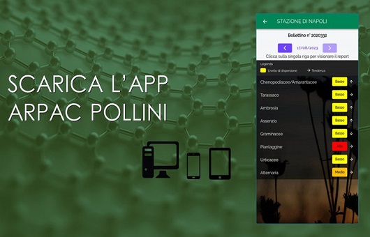 App Pollini - Arpac